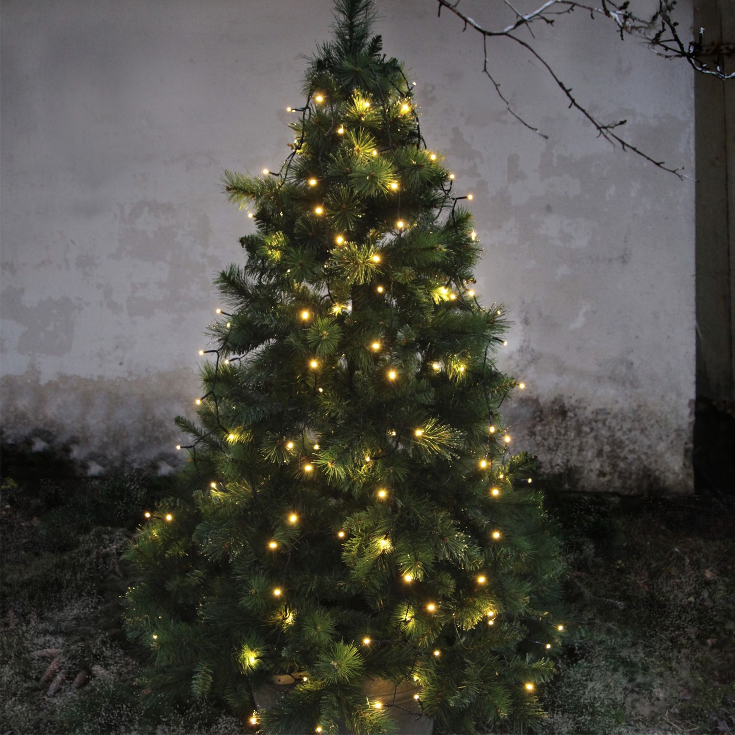 Baum Lichterkette Aussen